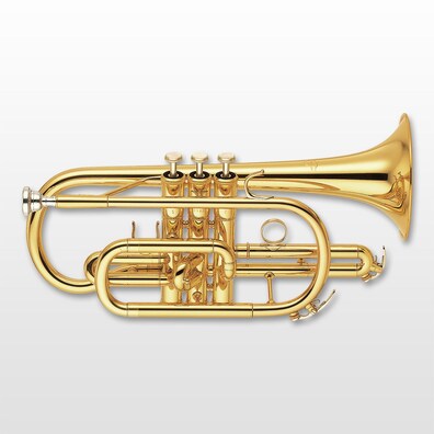Cornets - Brass & Woodwinds - Musical Instruments - Products - Yamaha ...